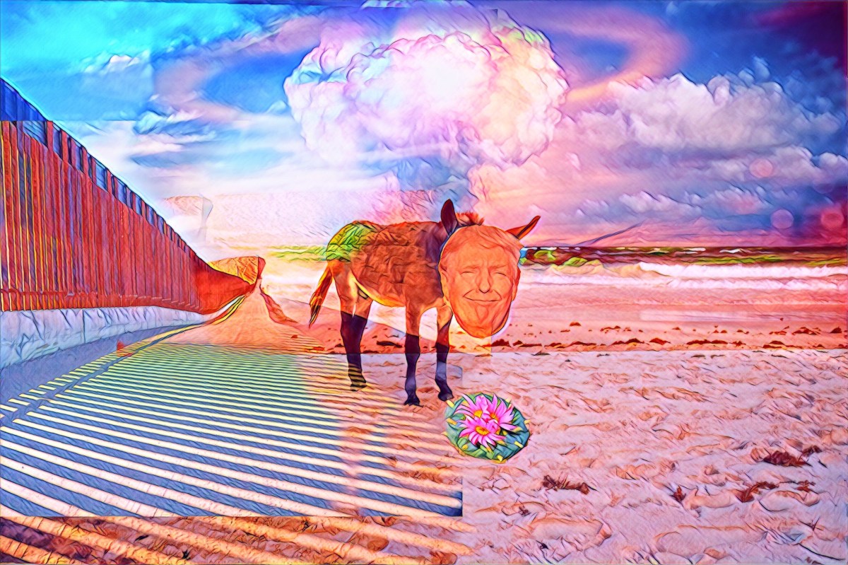 A Jackass And His Wall – Doug Heal