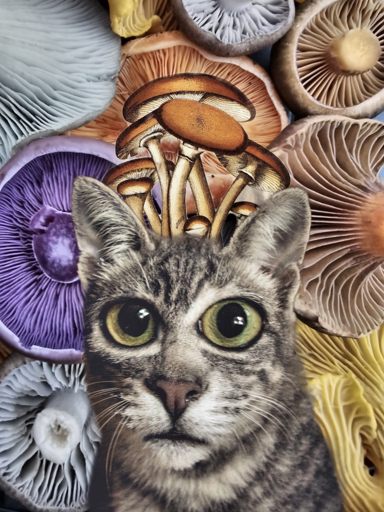 Why the long face? – Doug Heal