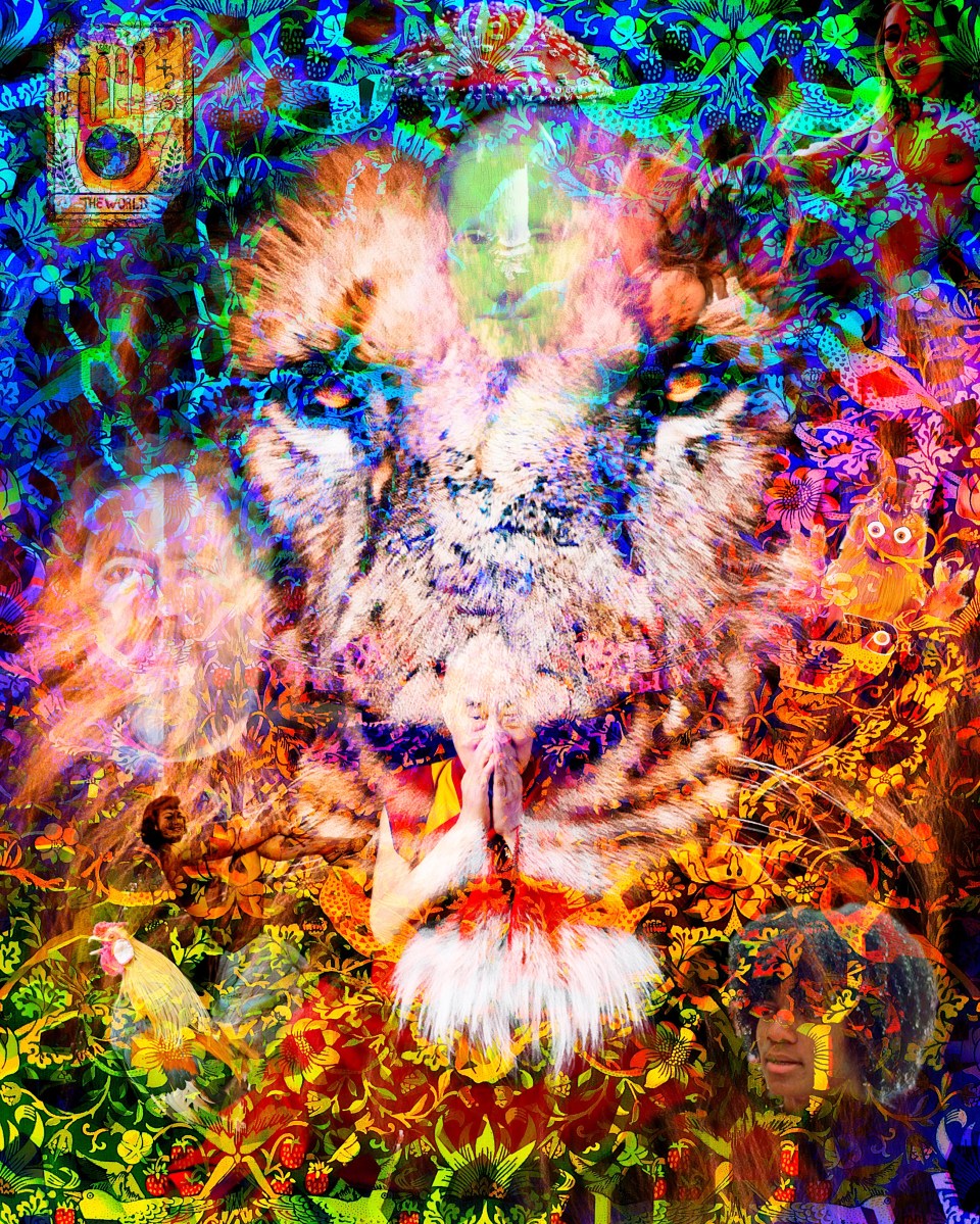 Digital Memory Trip – Doug Heal